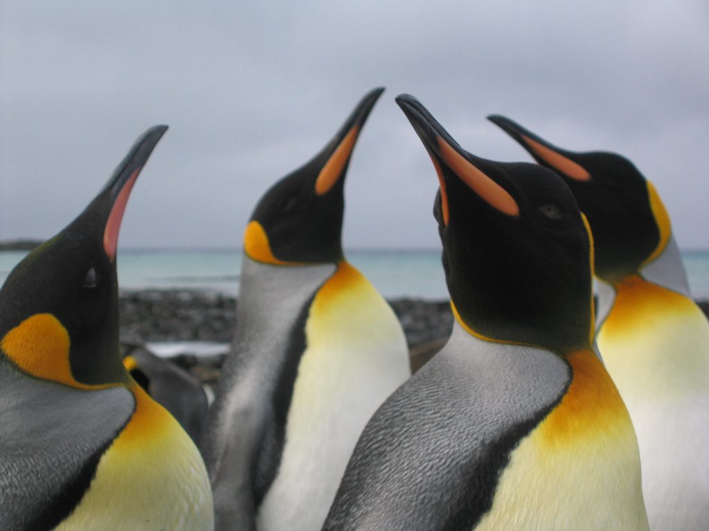 Links – Cassar Lab