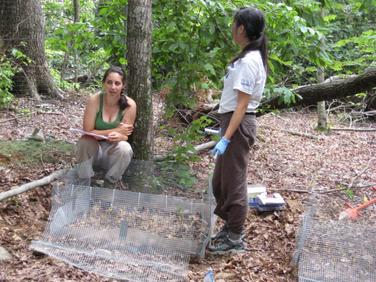 Clark Lab – Biodiversity and Global change