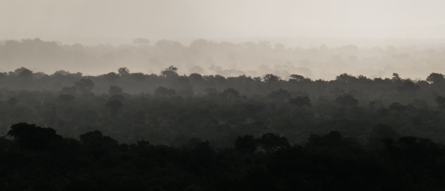 Clark Lab – Biodiversity and Global change