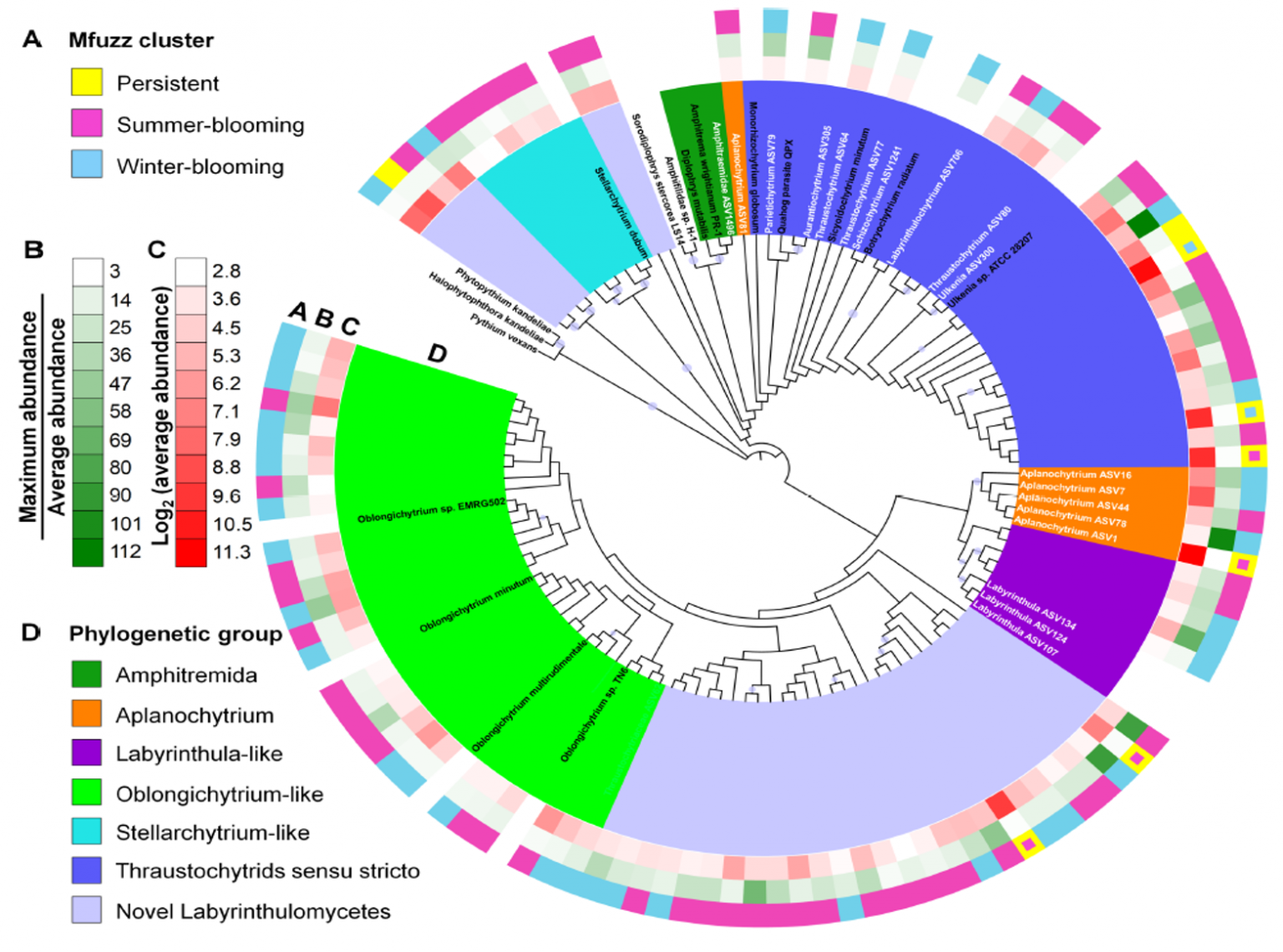 PUBLICATION: Annual Partitioning Patterns of Labyrinthulomycetes Reveal ...