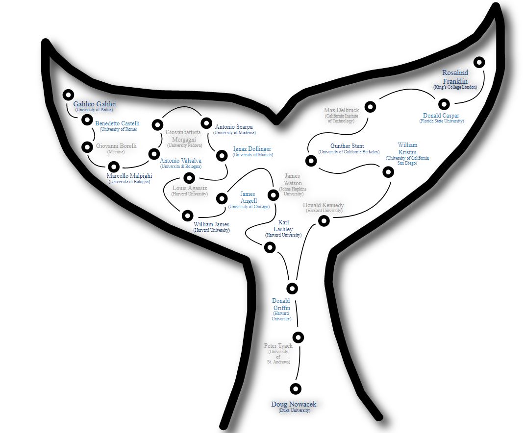 Just for Fun – Nowacek Lab