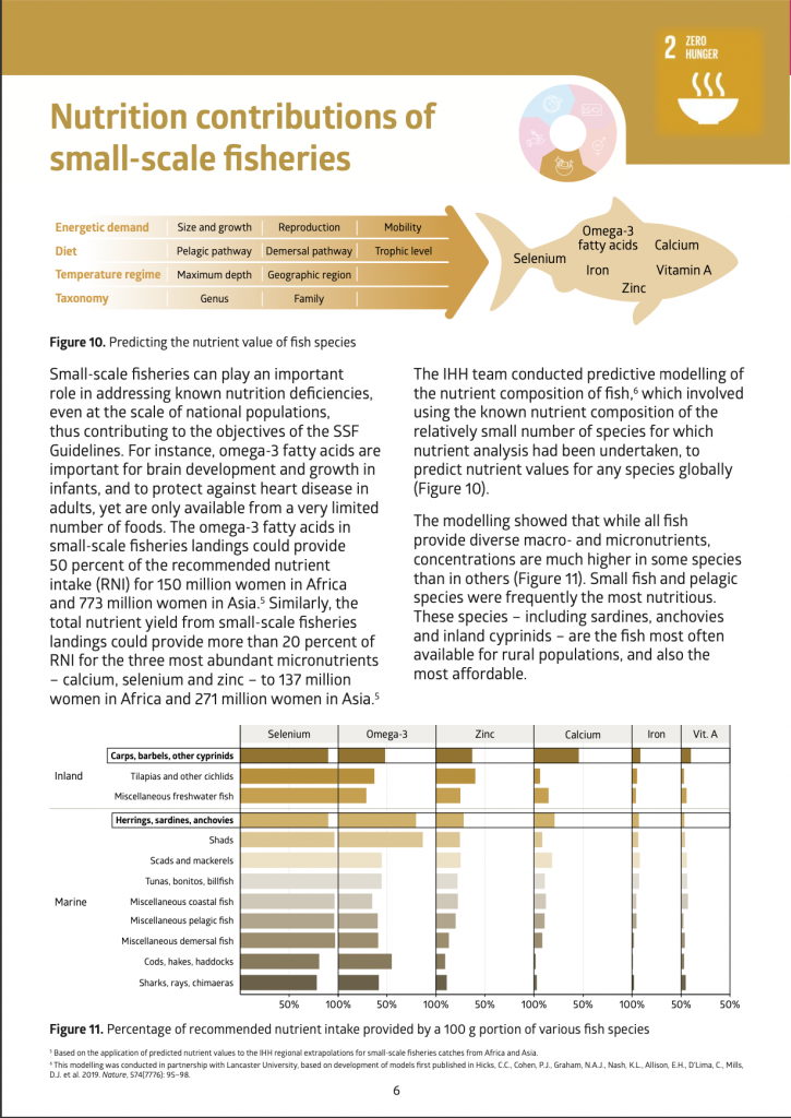 IHH Key Findings Infographic – Coasts and Commons Co-laboratory
